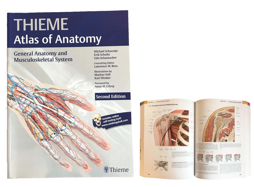 Anatomický atlas PROMETHEUS THIEME – anglicky – shop ...