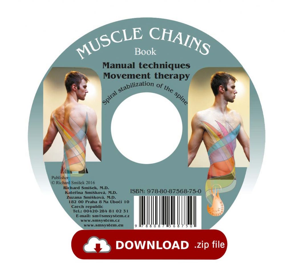 book muscle chains – download – shop.spiralstabilization.com